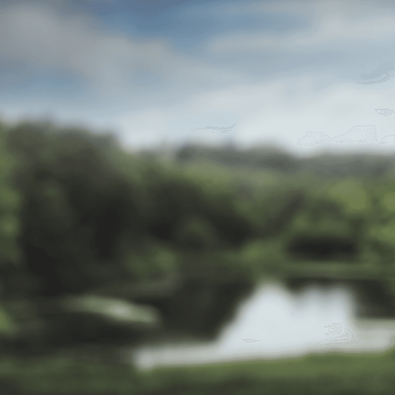 Replacement Casement Windows | Infinity from Marvin