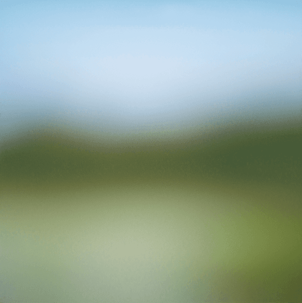 Bow Window Replacement | Infinity from Marvin