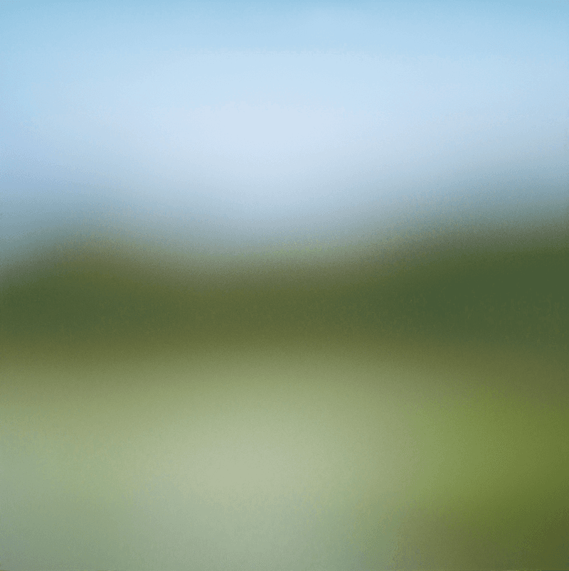 Bow Window Replacement | Infinity from Marvin